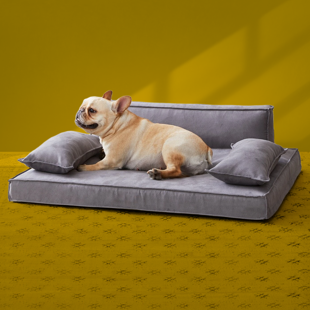 Orthopedic Luxury Dog Sofa Bed – The Fluffy Company